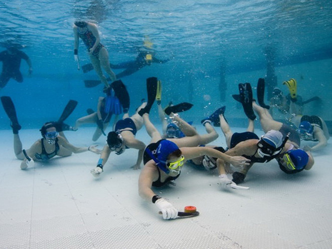 Unique and intersting the sport named underwater hockey - bryo.ca